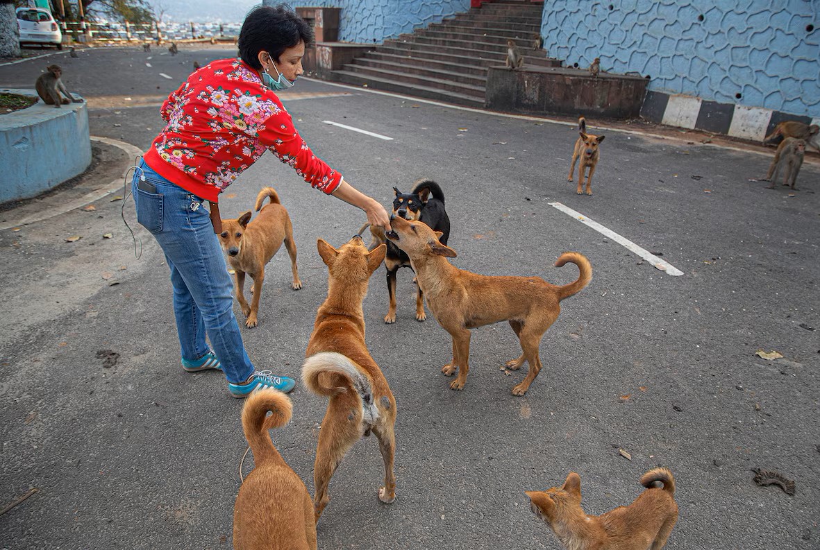 Furry Friend - Nishant Charitable Trust